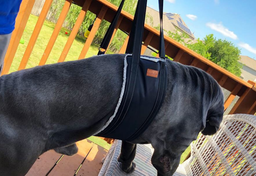 How to make a dog sling